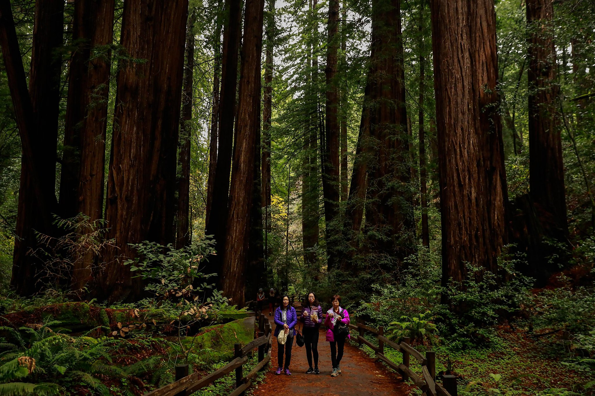 Reconsidering the bigotry of William Kent, California’s famed ...