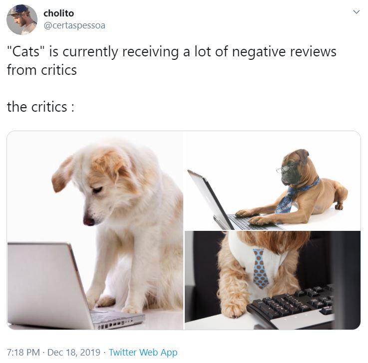 Hilarious memes pour in as movie critics shred 'Cats' in reviews