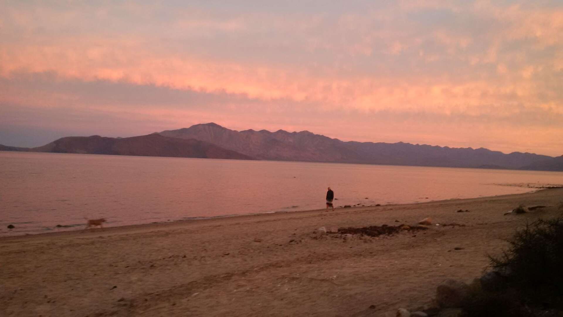 Baja in winter: Gray whales, California condors and the Sea of Cortez