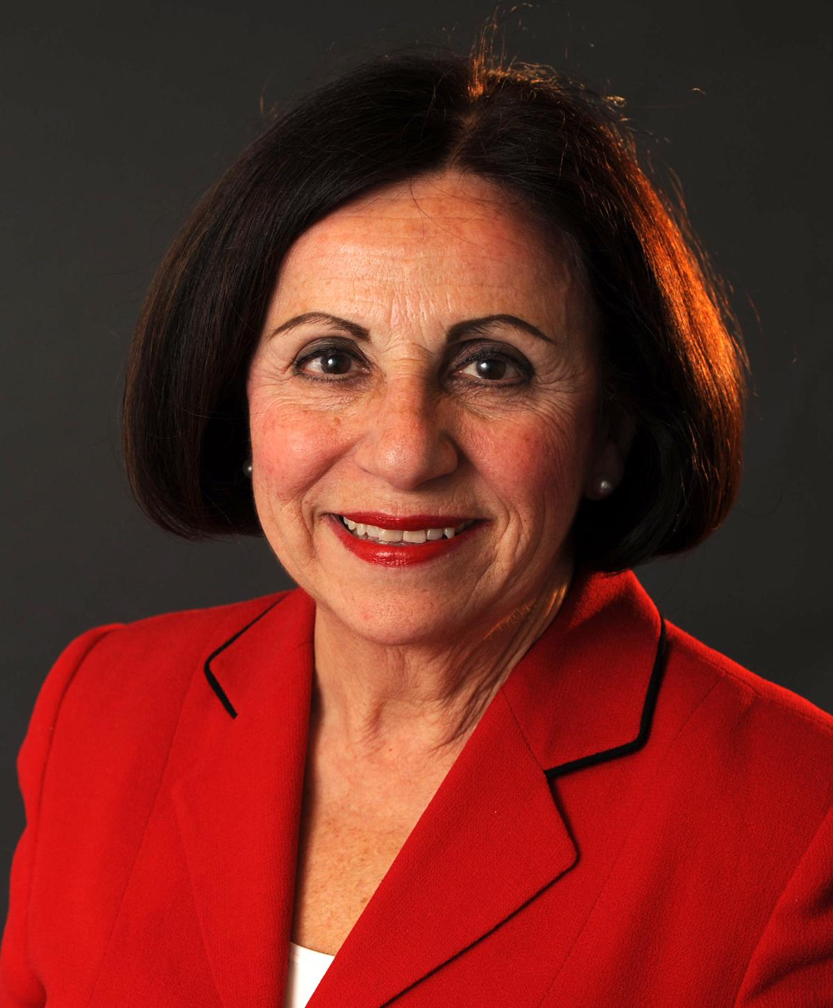 Toni Boucher: Keeping the lights on