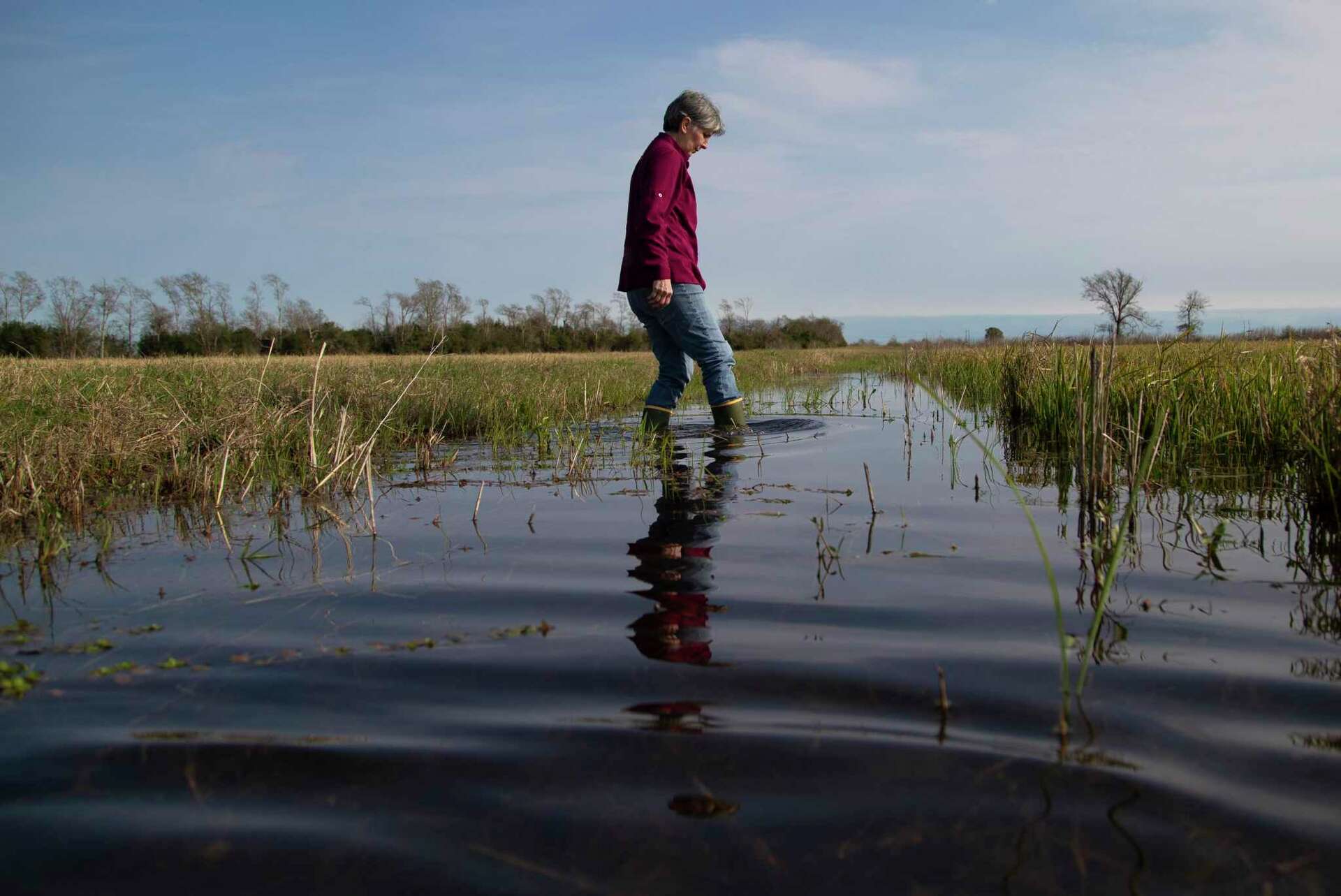 Growing appetite for crawfish has Texas rice farmers hooked