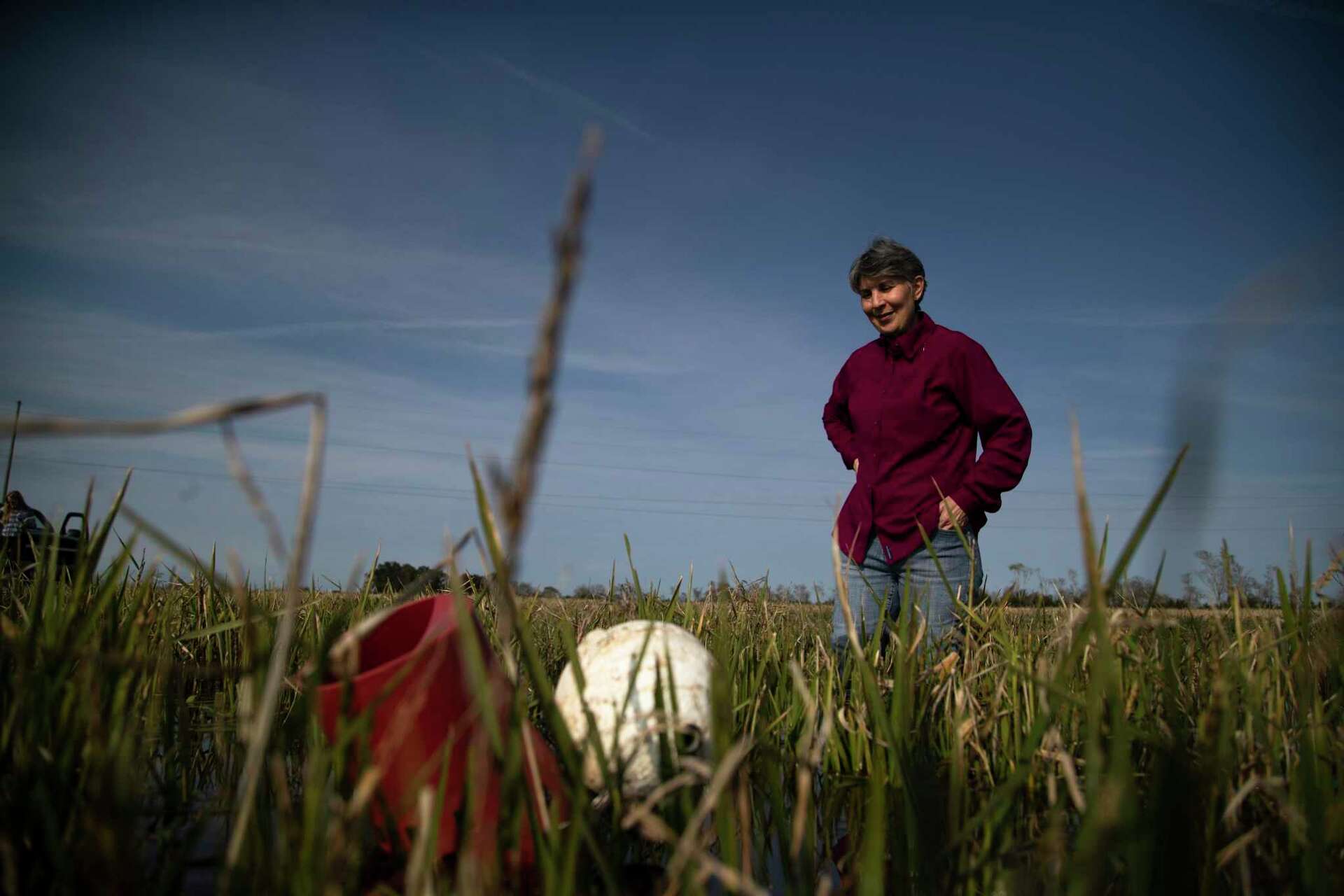 Growing appetite for crawfish has Texas rice farmers hooked
