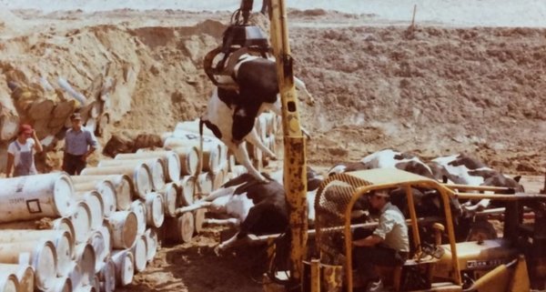 PBB has not gone away