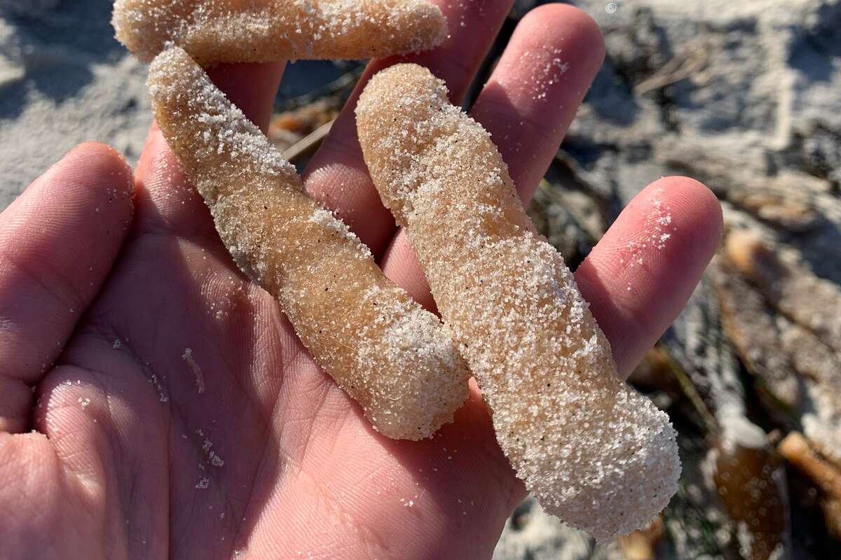 Thousands of 'sea pickles' wash up on Monterey Bay beach