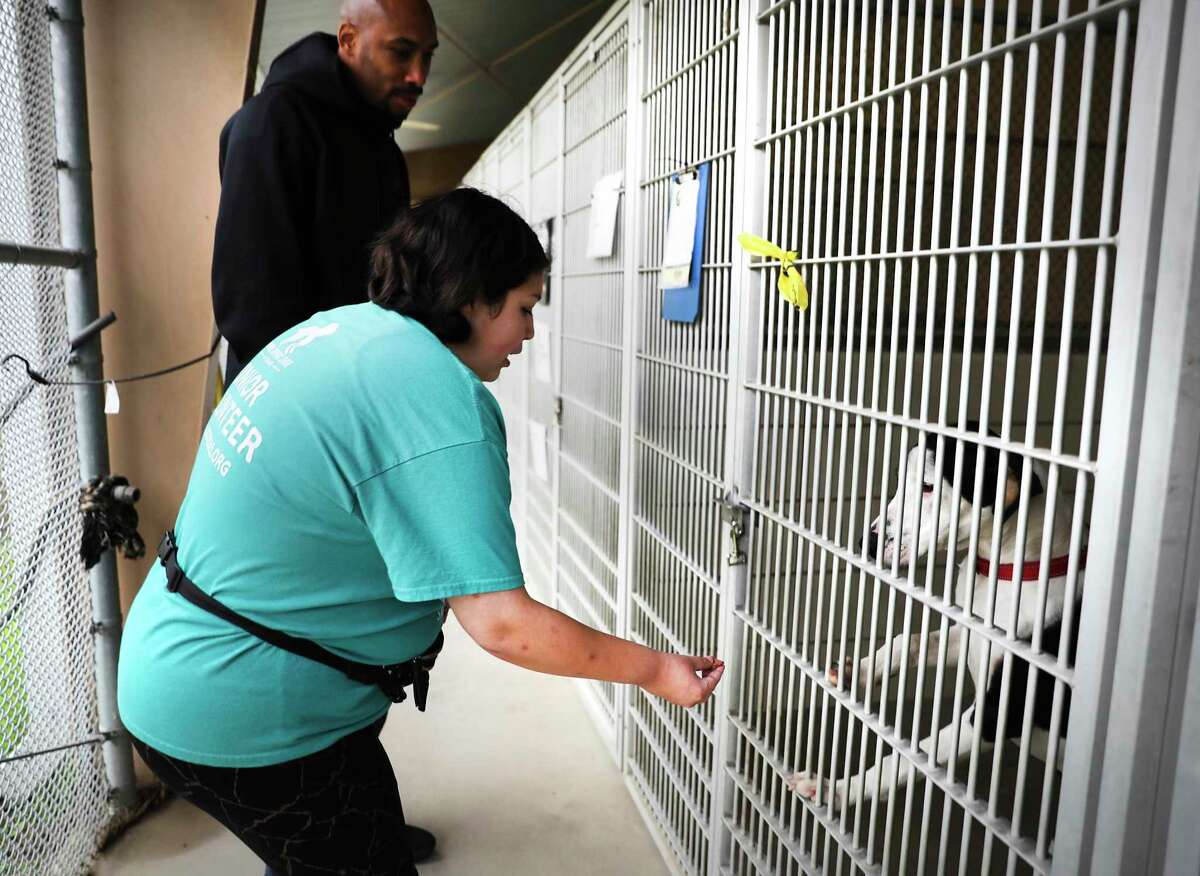 Helping San Antonio animals is young woman’s road to independence