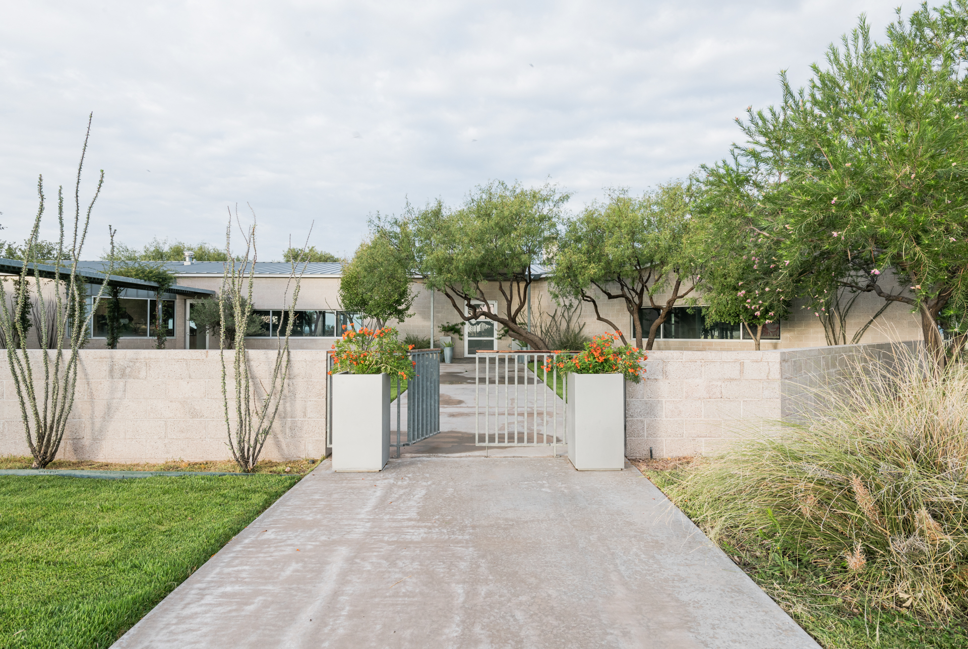 Book a Marfa, Texas ranch made famous by Beyonce, built by renowned ...