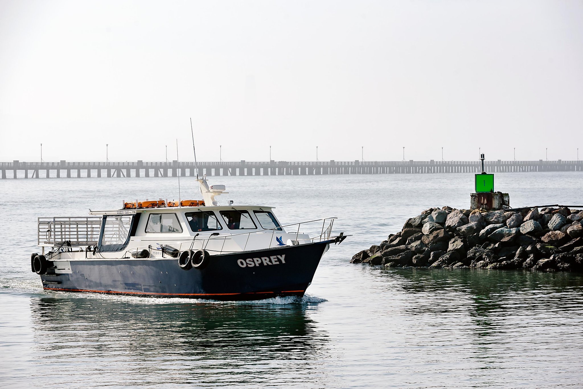 ‘Miracle’: Ferry captain spots man floating in bay and rescues him ...