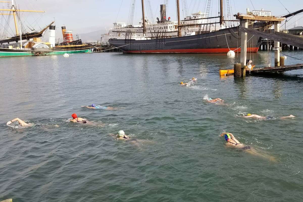I swam in the San Francisco Bay at 5 a.m. and now understand the hype