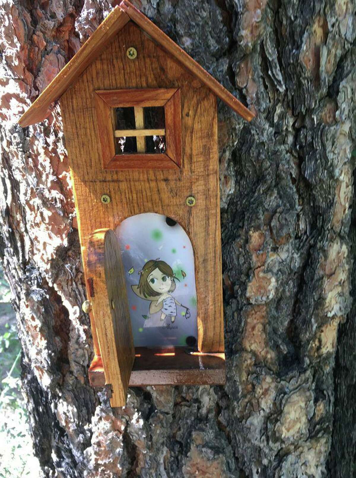 Why 15 tiny fairy homes are coming in 2020 to a Friendswood park