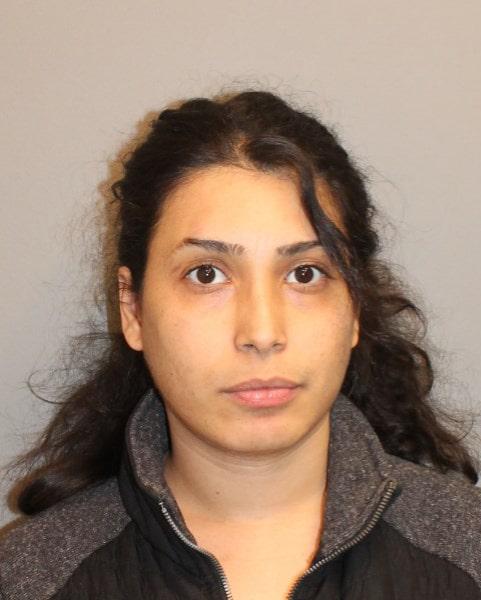 Police: N.Y. woman bit officer who responded to her 911 call