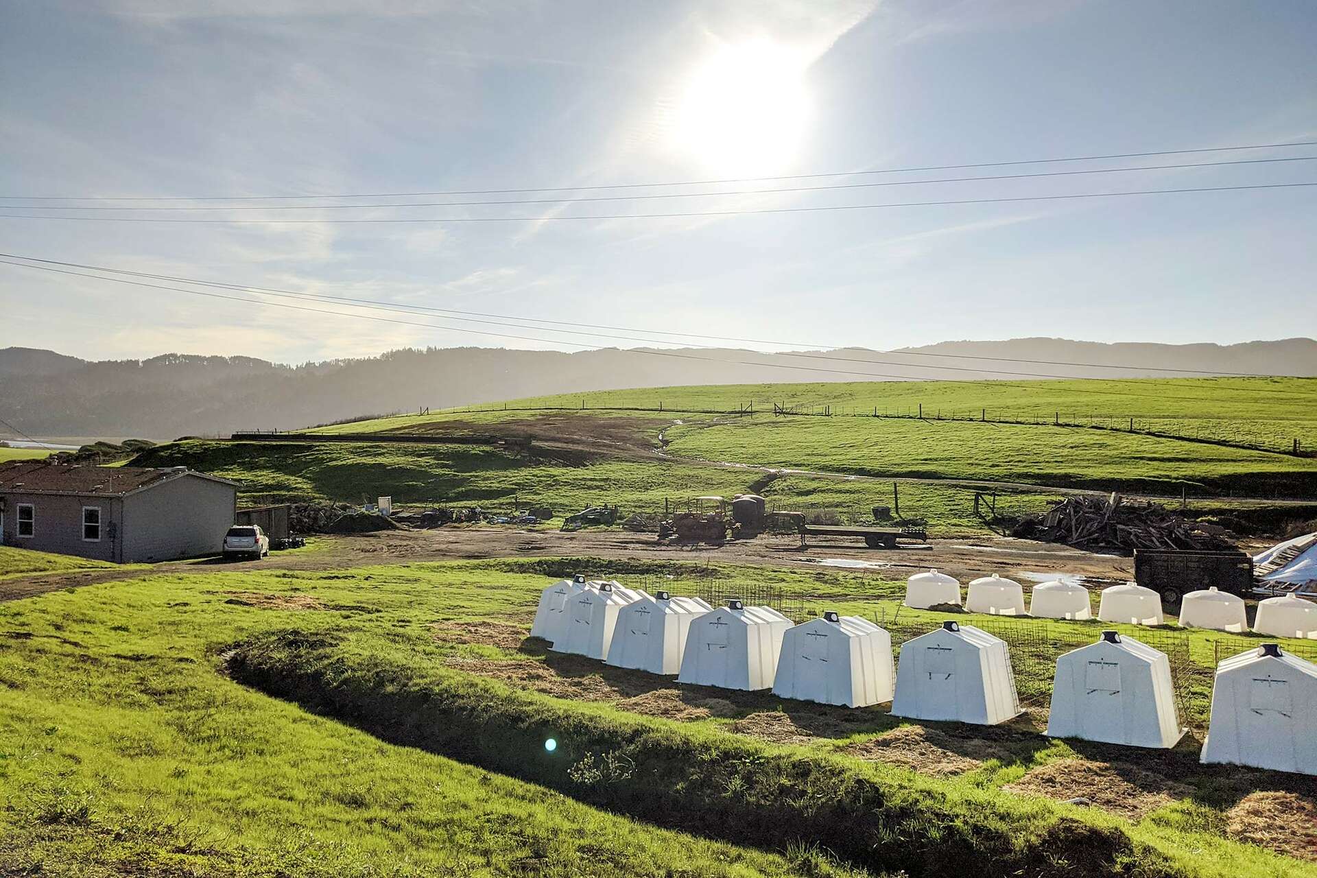 Ireland in our backyard: Why winter is the best time to visit Point Reyes