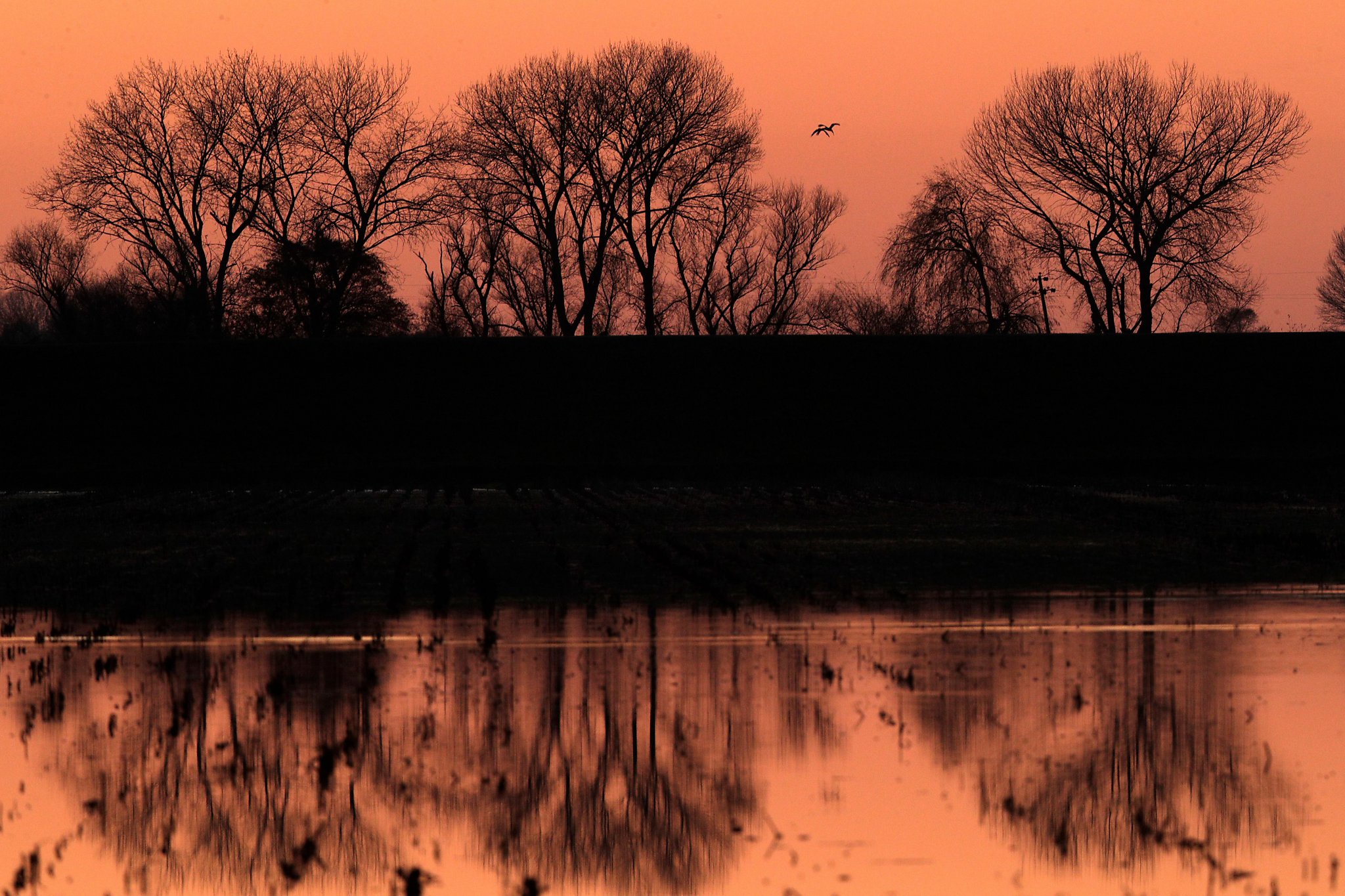 The delta’s sinking islands: A way of life hangs in the balance