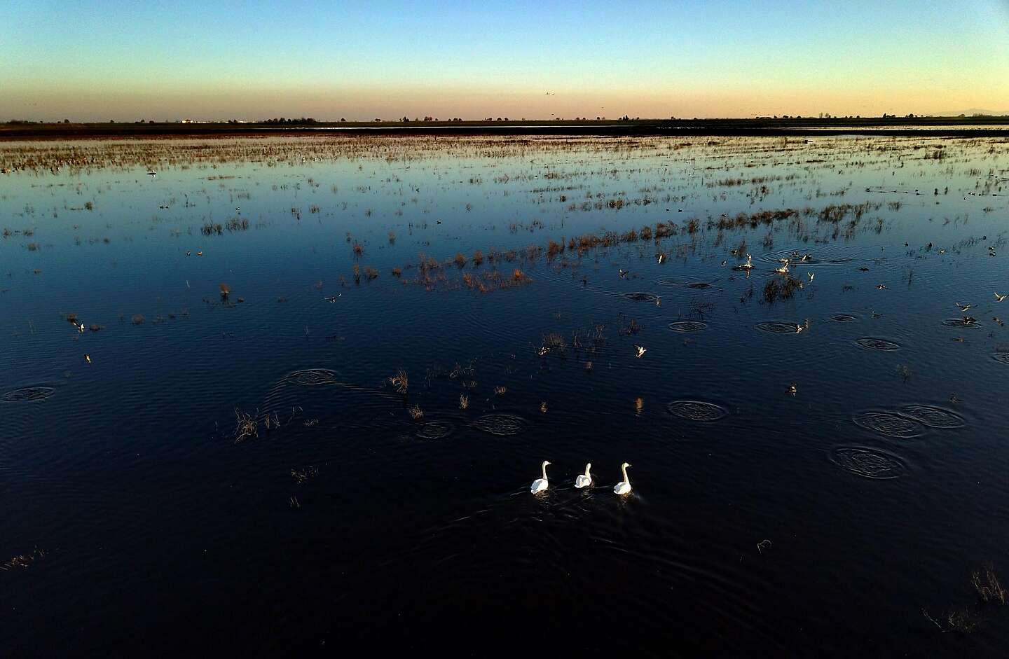 The delta’s sinking islands: A way of life hangs in the balance