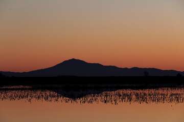 The delta’s sinking islands: A way of life hangs in the balance