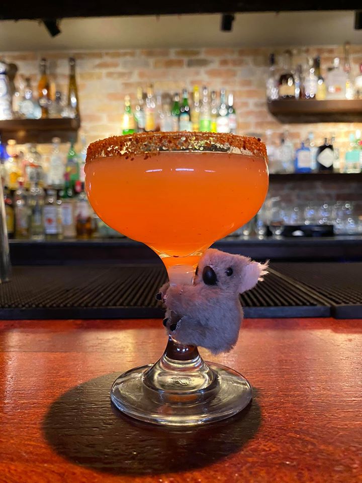 This San Antonio bar is selling a 'Koala Cocktail' to raise money for ...