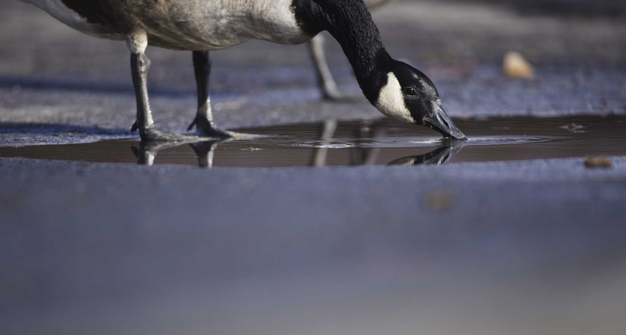 Jason Gough's forecast: Storm's over, back to the mild