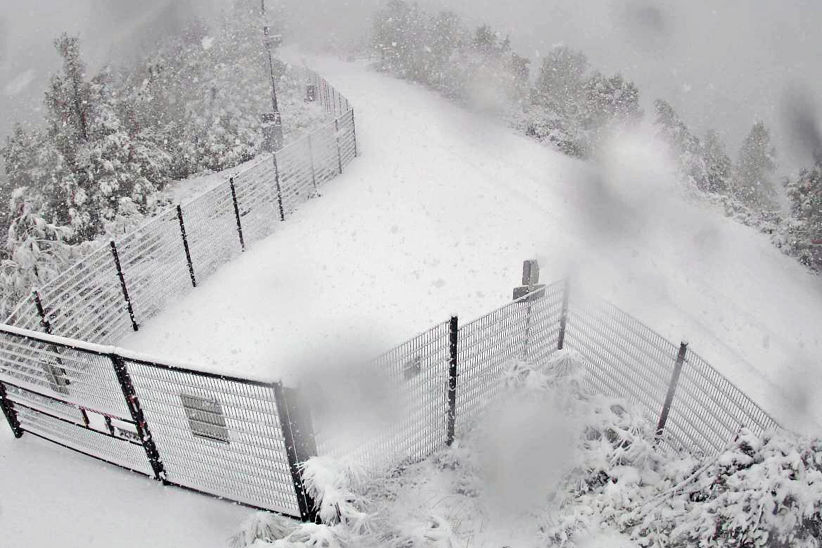 Snow falls on Mt. Umunhum, causing car wipeout and road closure - SFGate