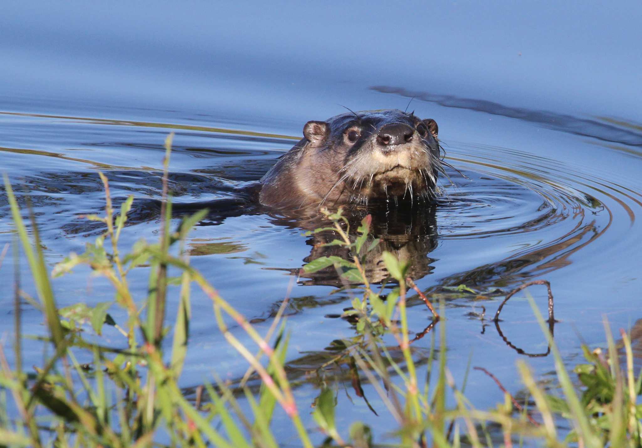 Jerry Walls: There are interesting nature opportunities, even in winter