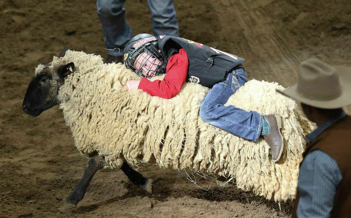Mutton busting a popular rodeo event for kids in San Antonio and nationwide
