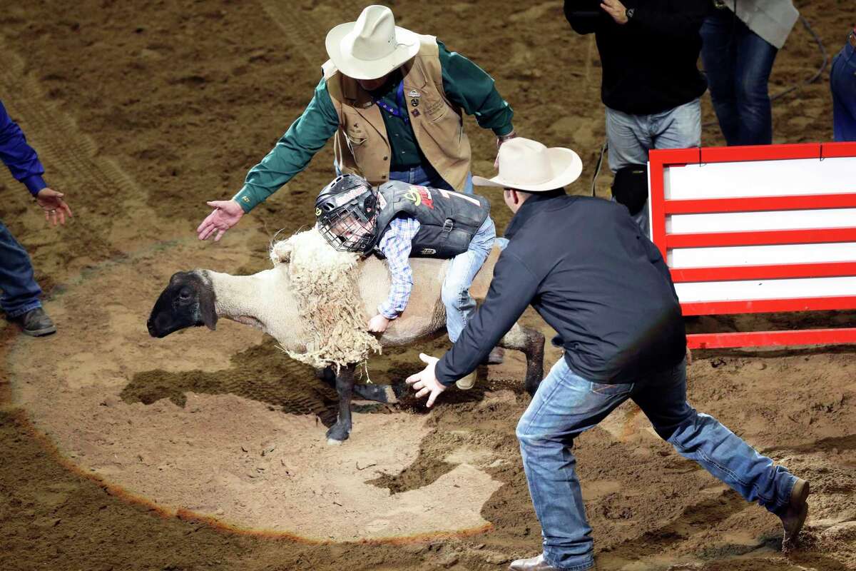 Mutton busting a popular rodeo event for kids in San Antonio and nationwide