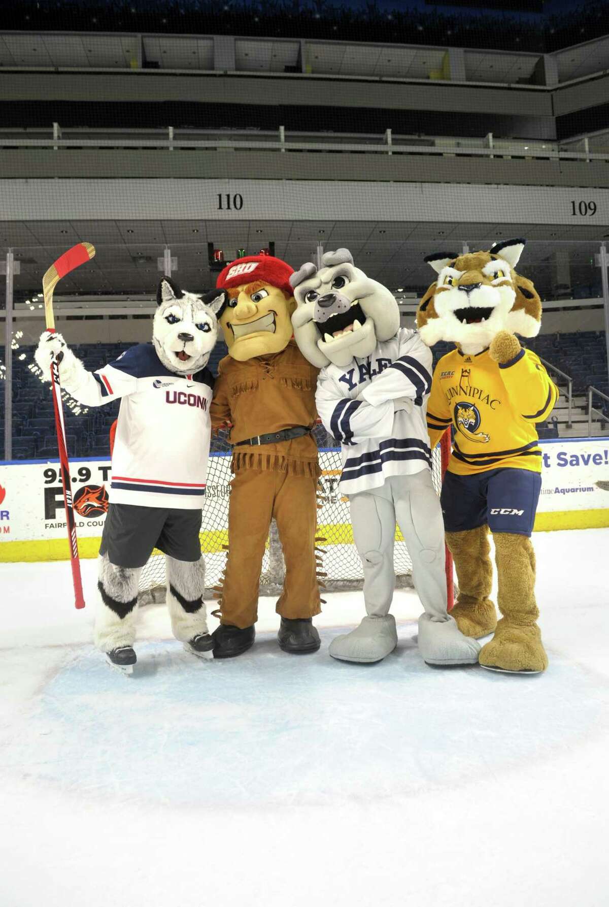 How Connecticut became a college hockey hot spot