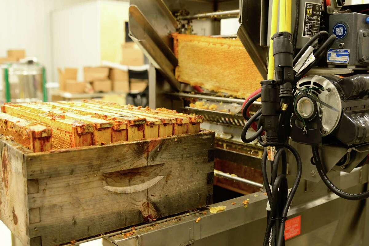 Local beekeeper on honey varieties, how to help the bees