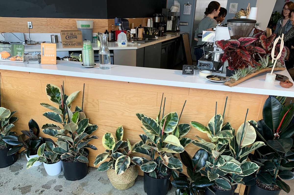 I tried SF's newest cafe trend: mushroom coffee