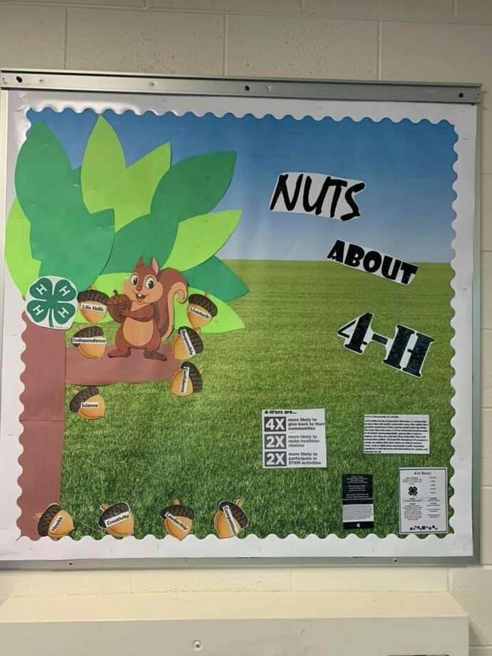 Schools help promote 4-H with themed bulletin boards - Big Rapids Pioneer