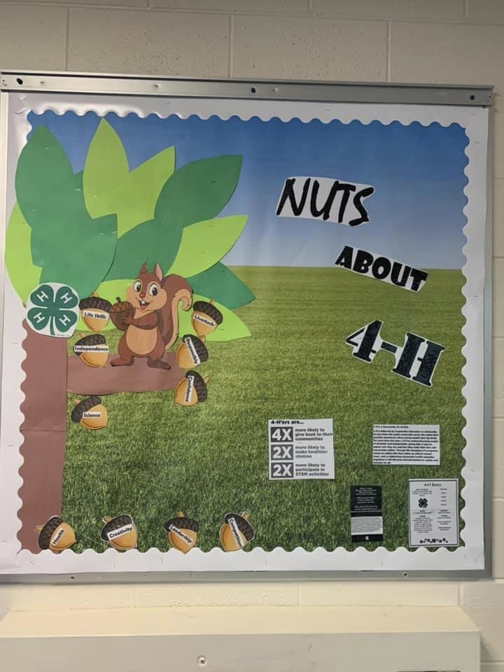 Schools help promote 4-H with themed bulletin boards