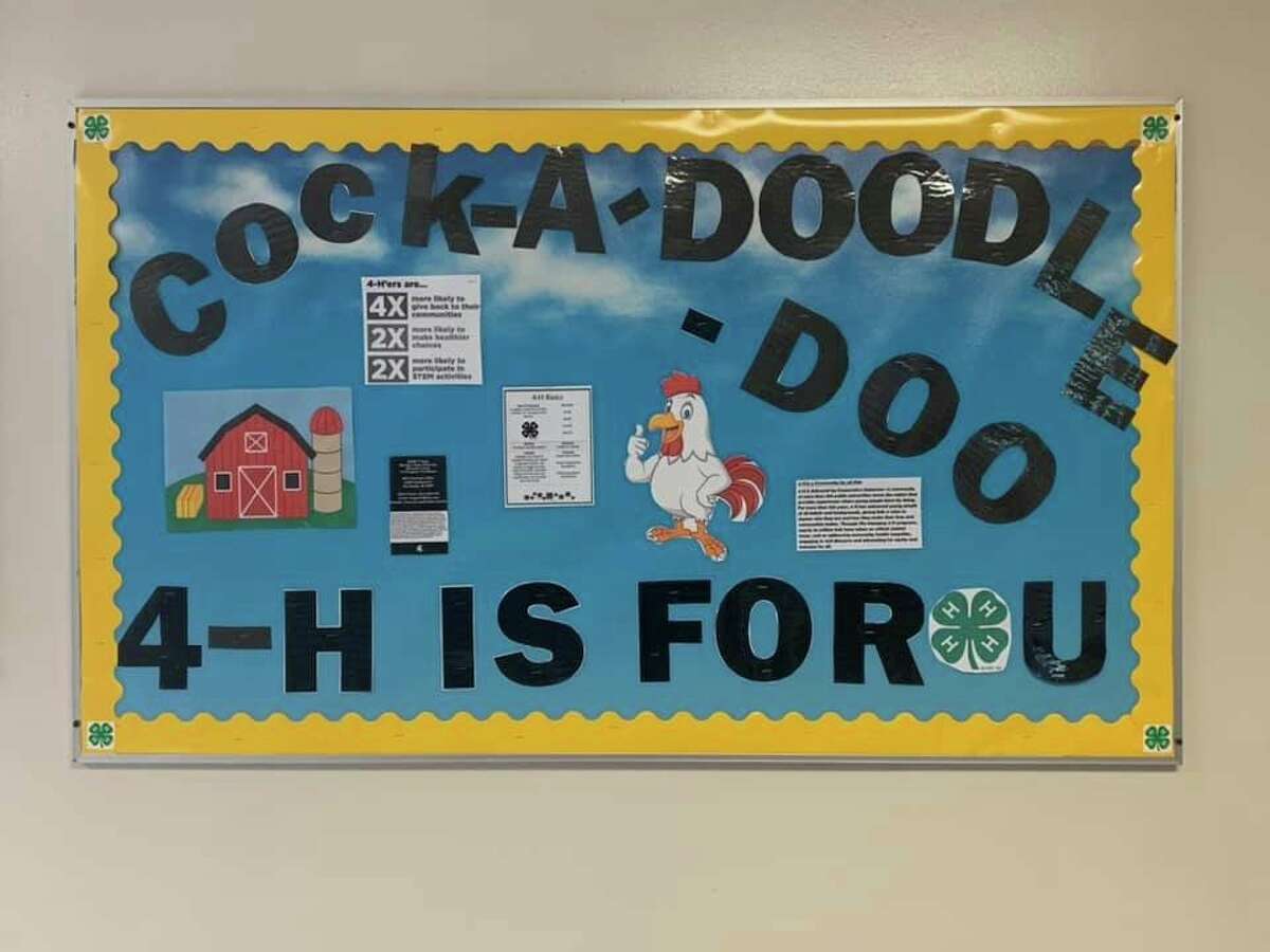 Schools help promote 4-H with themed bulletin boards