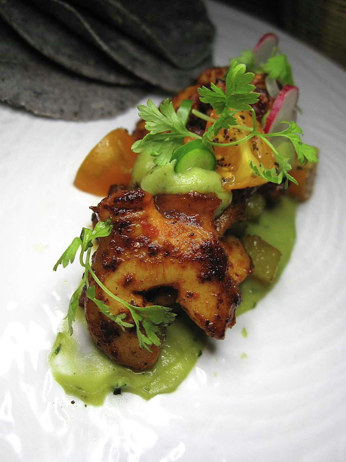 Review: High-end San Antonio restaurant Evo Contemporary Mexican ...