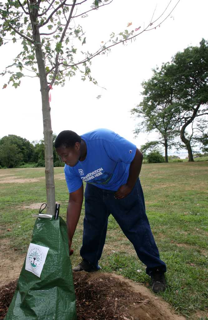 Students cap summer of planting trees, clearing trails