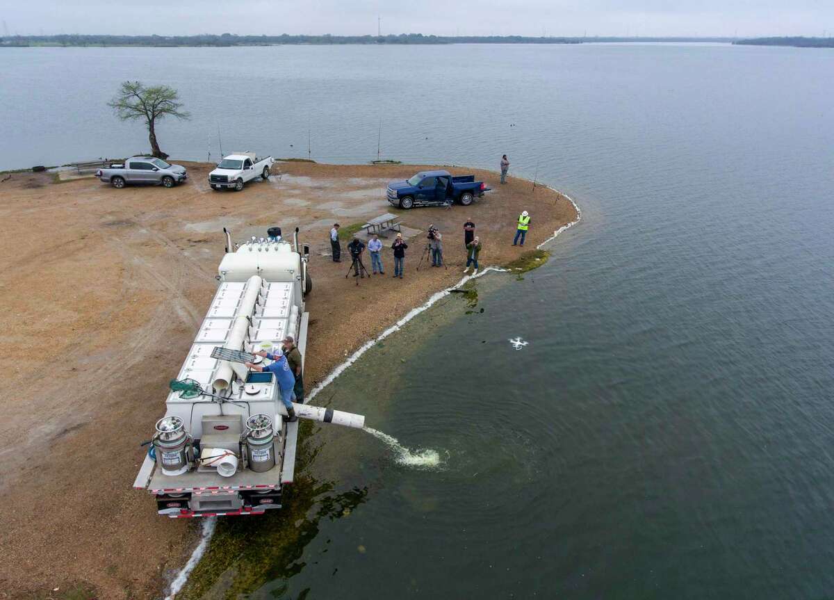 CPS Energy and Texas Parks and Wildlife rebuild catfish population at ...