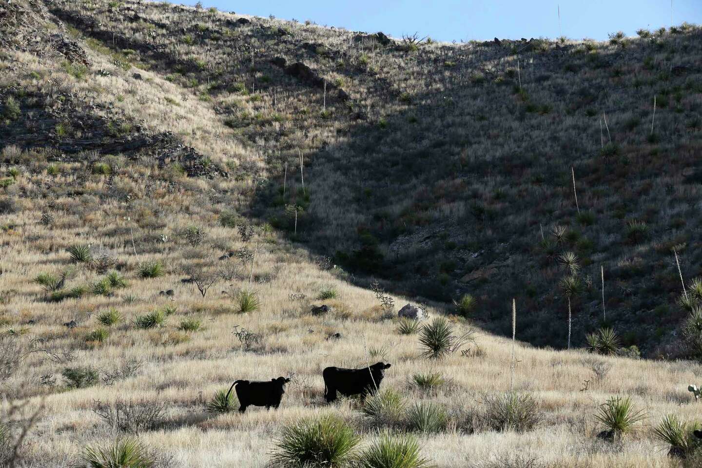 For $320 million, you can own a massive ranch in the Big Bend