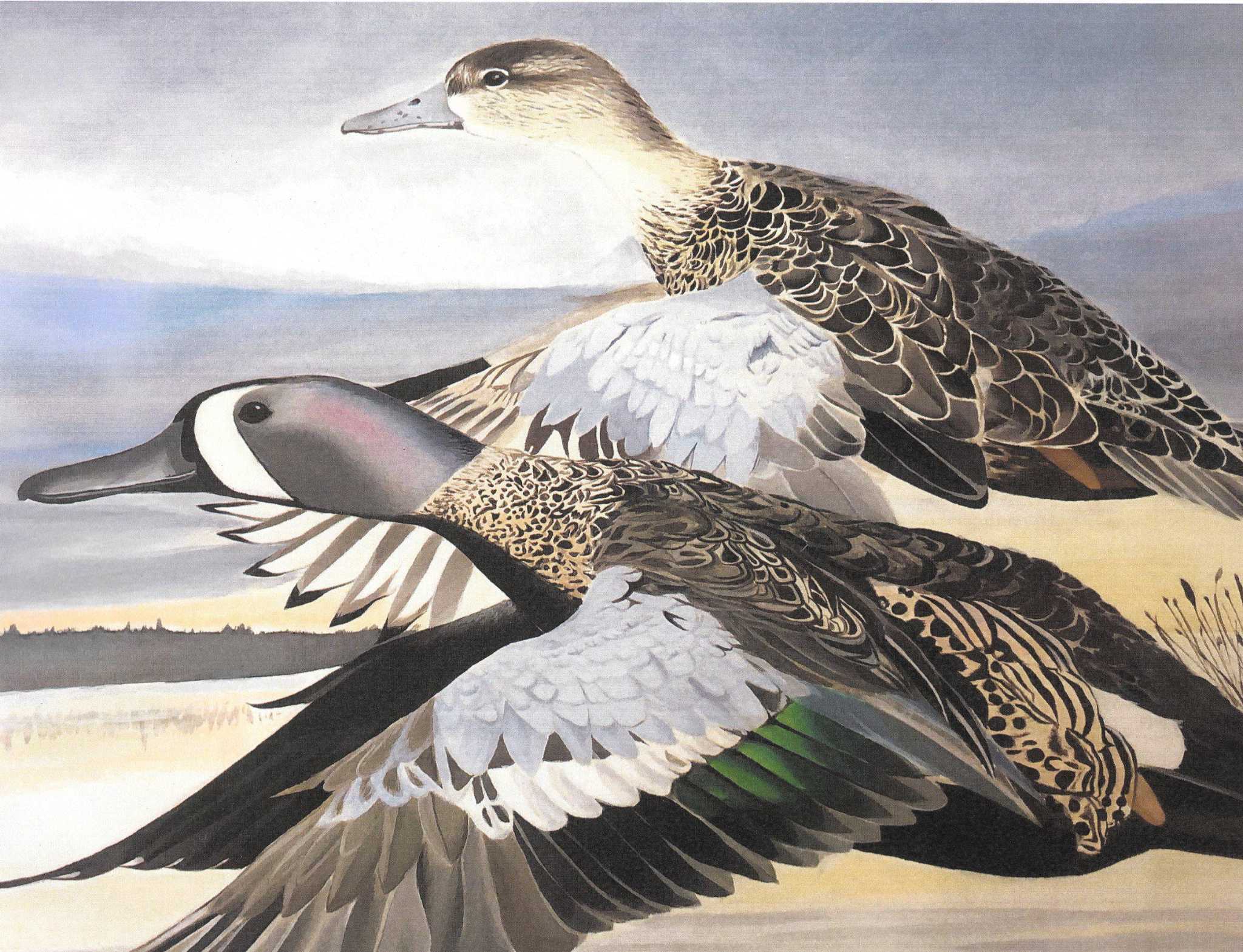 Students invited to enter duck stamp art competition