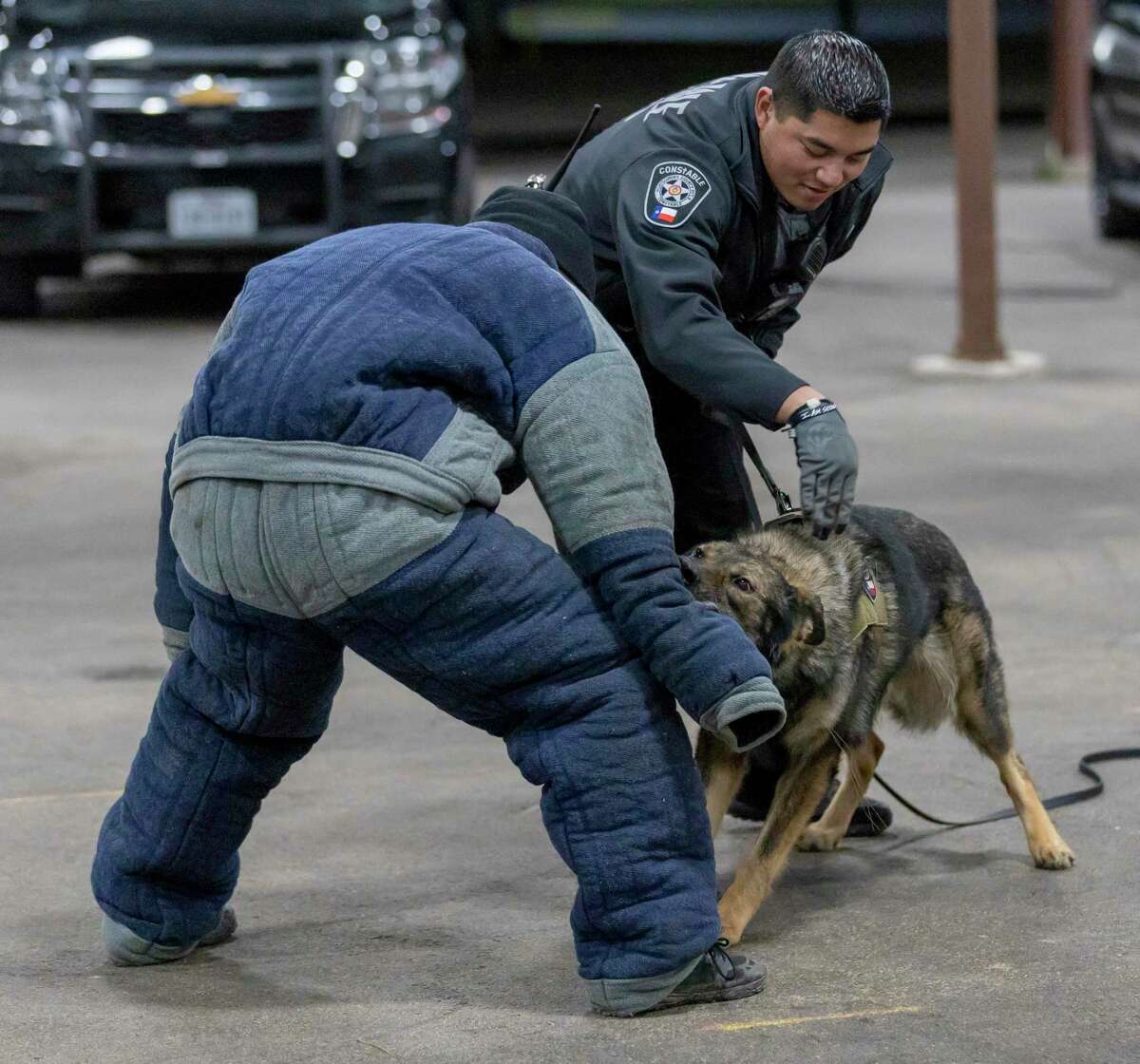 Police dog squadrons expand ranks across Montgomery County