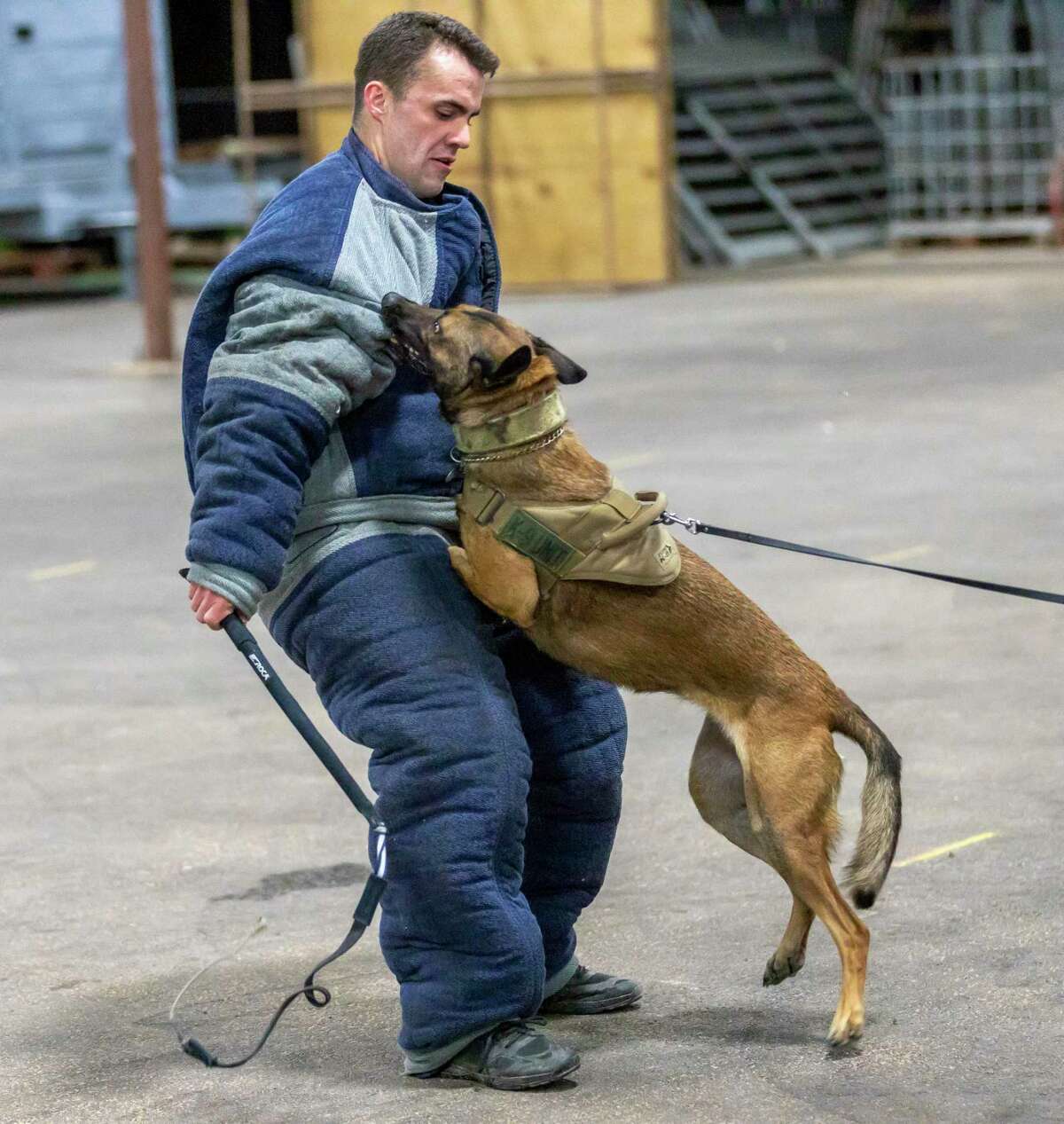Police dog squadrons expand ranks across Montgomery County