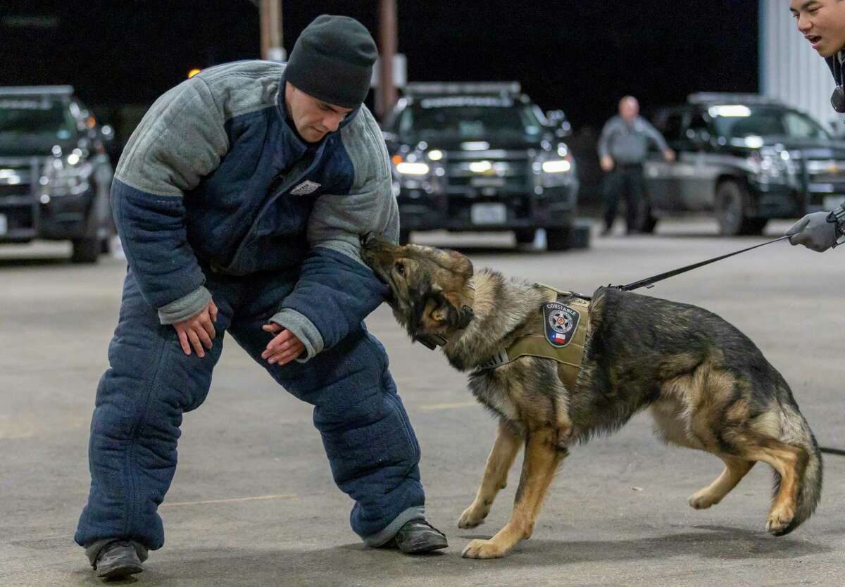 Police dog squadrons expand ranks across Montgomery County