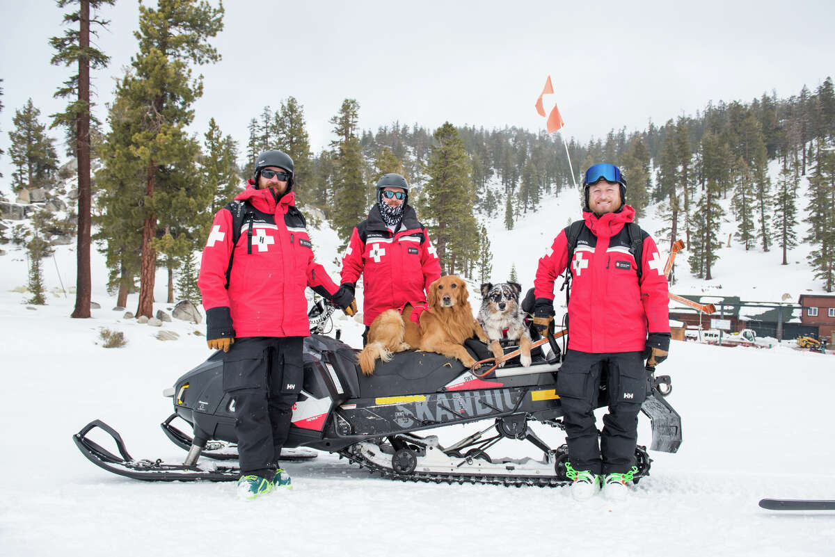 Inside the wild world of training a Lake Tahoe Ski Patrol puppy