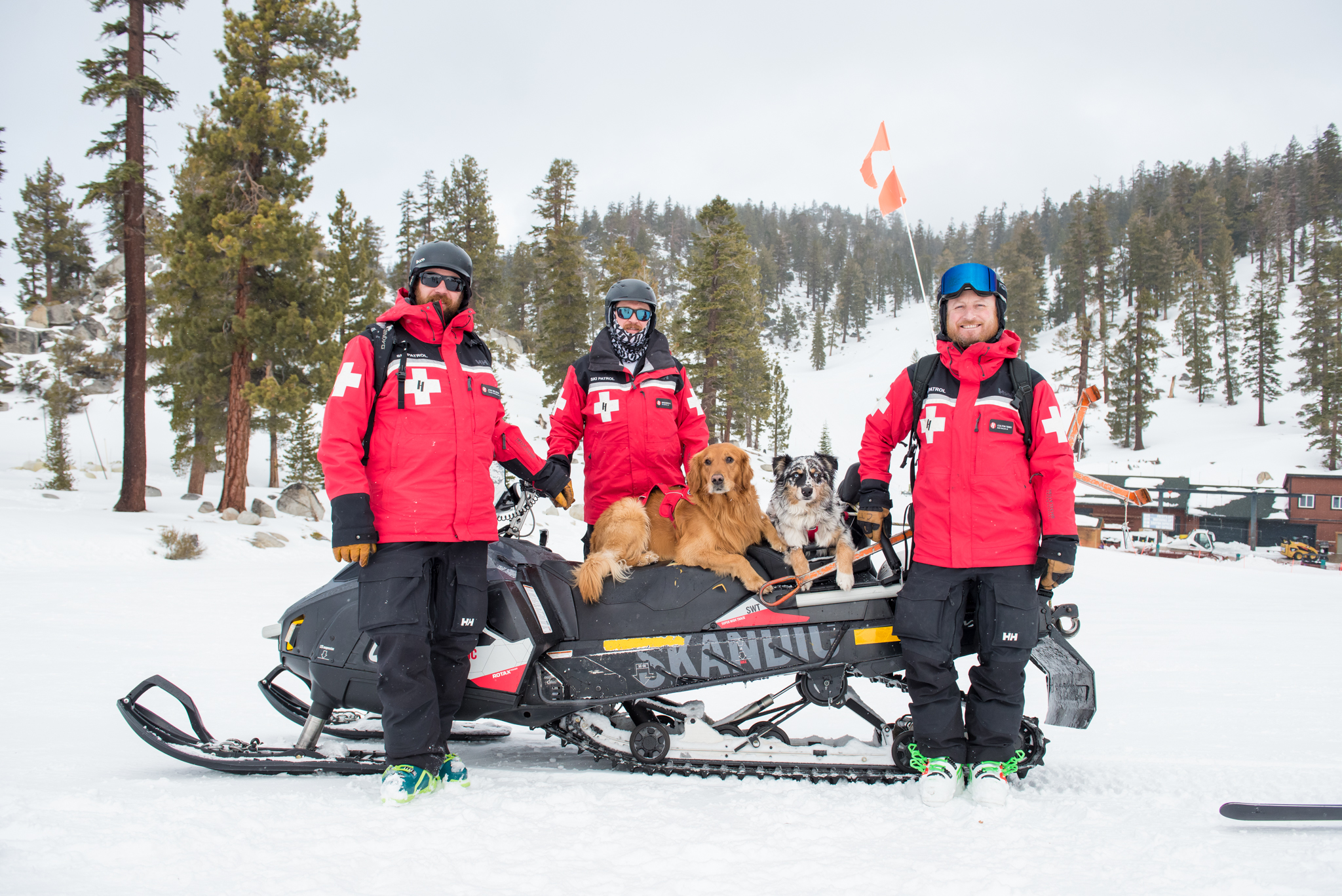 Inside the wild world of training a Lake Tahoe Ski Patrol puppy