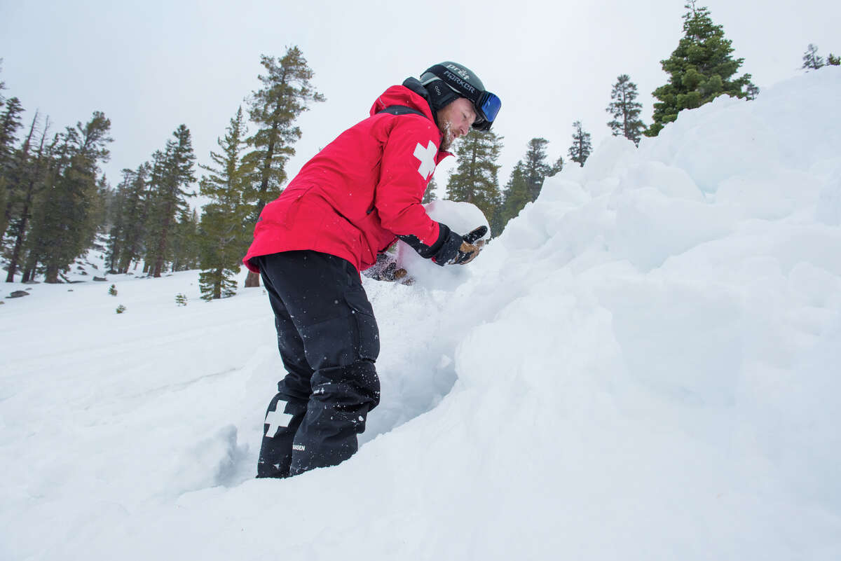 Inside the wild world of training a Lake Tahoe Ski Patrol puppy