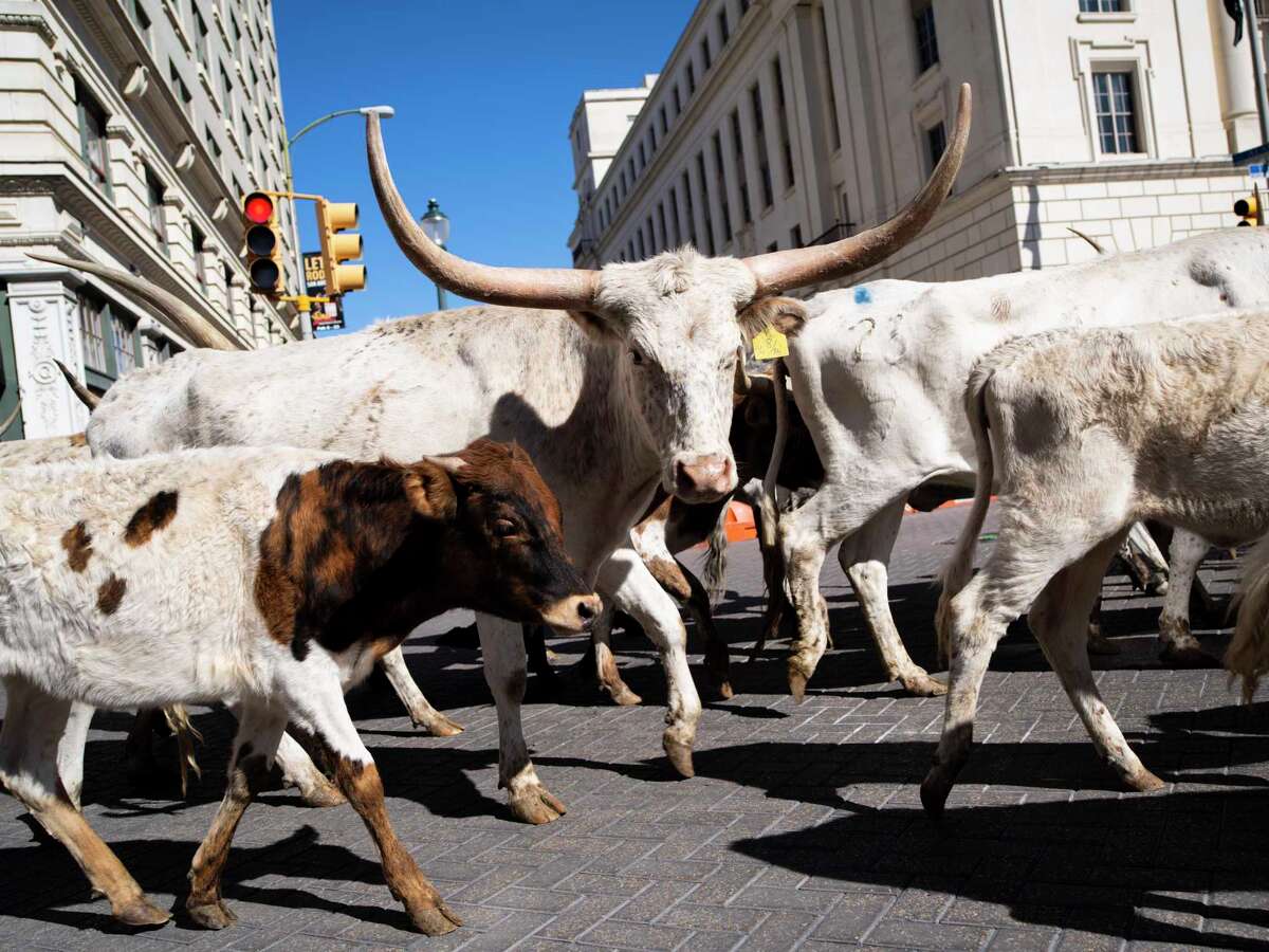 The Old West comes alive on downtown streets at San Antonio’s Western ...