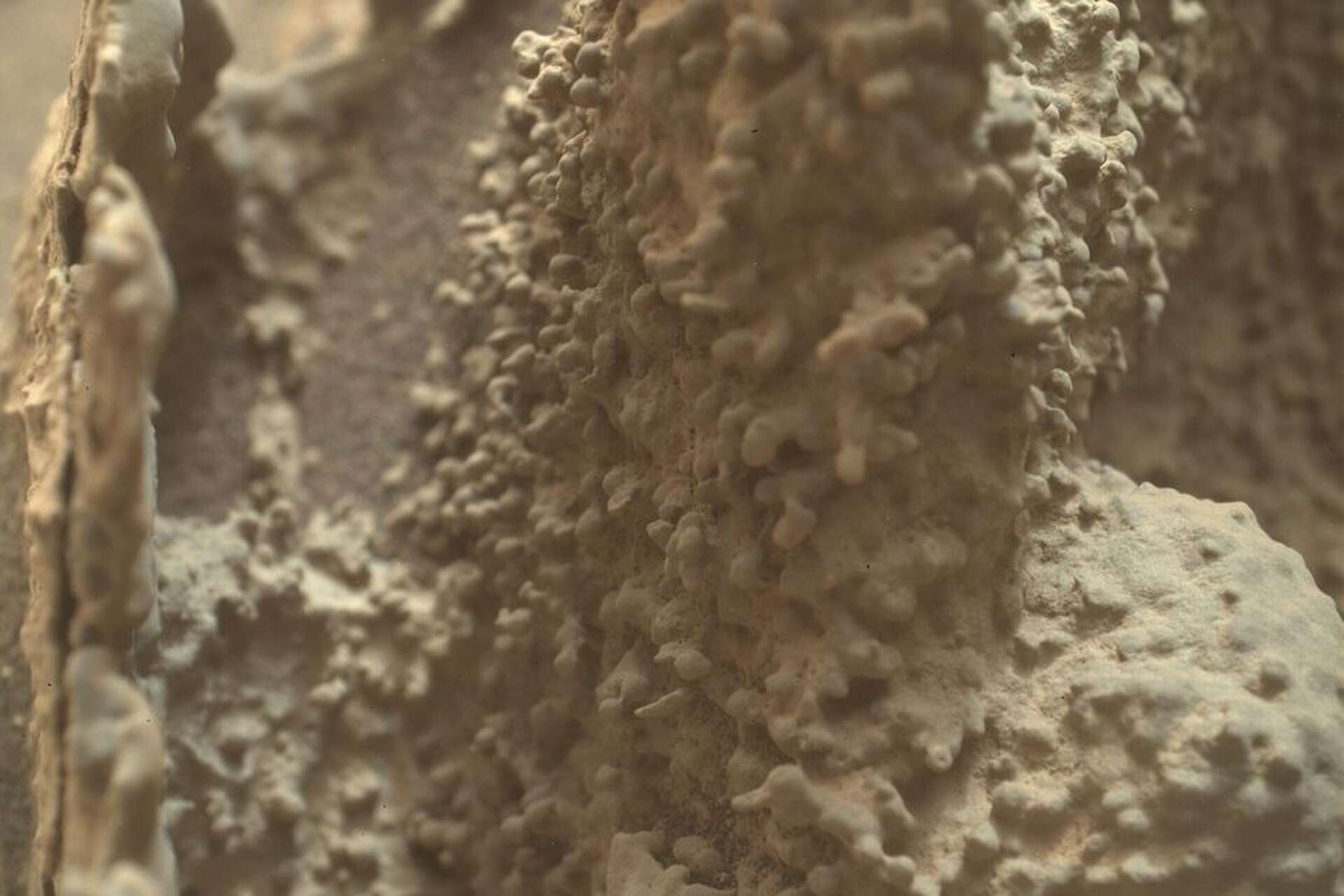 mars rover close up
