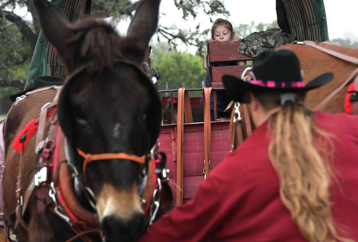 On horseback, trail riders bring tradition to the San Antonio rodeo