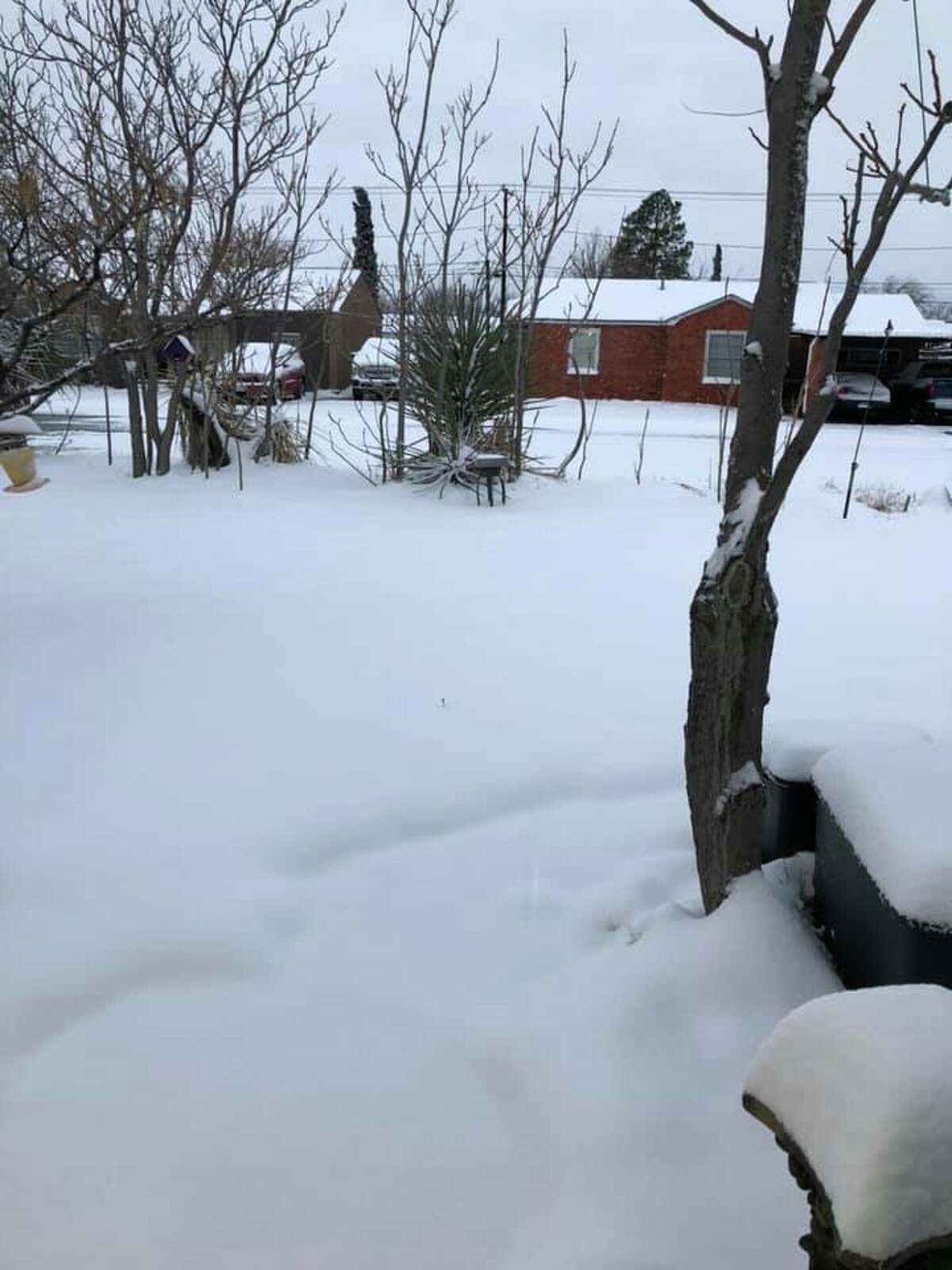 Incredible photos show snow blanketing parts of Texas following winter ...