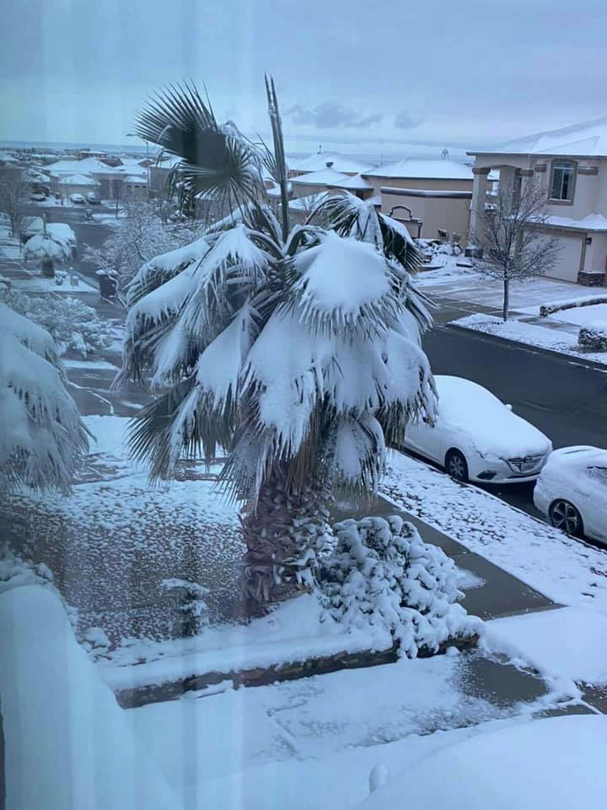 Incredible photos show snow blanketing parts of Texas following winter ...