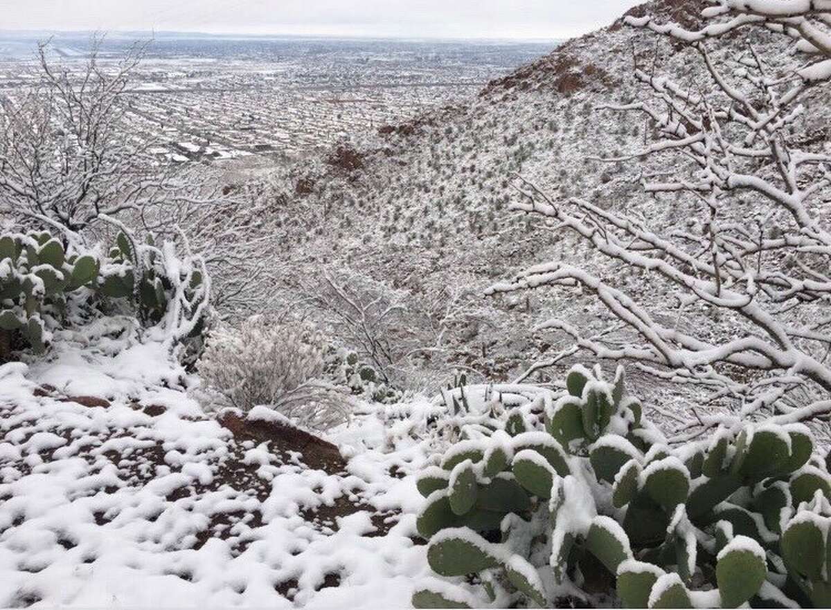 Incredible photos show snow blanketing parts of Texas following winter ...