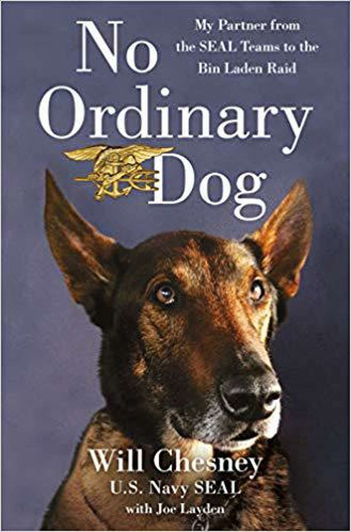 ‘He deserves to have his story told’: Navy SEAL K9 handler credits dog ...