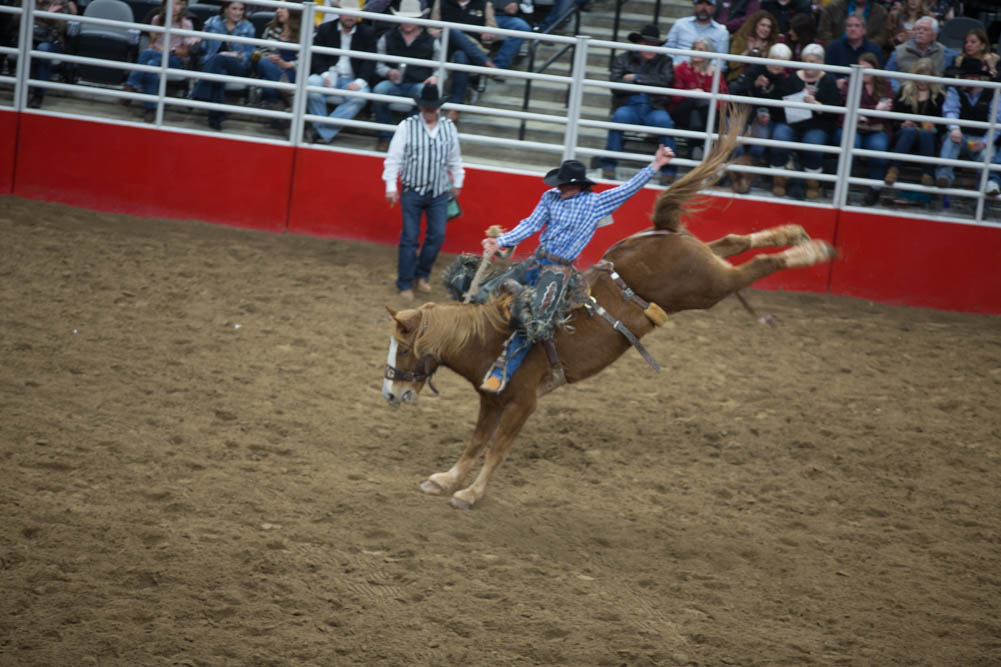 BTS World Tour 2026 dates announced. Here's where Texas lands.