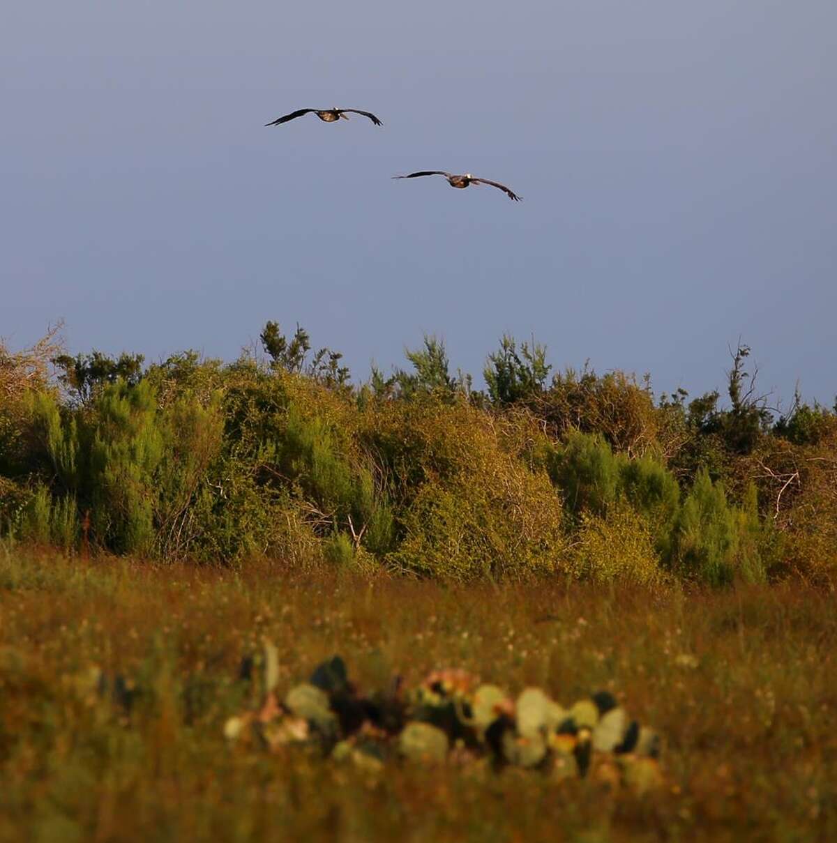 You can buy this Texas island in the middle of a fisherman's paradise ...